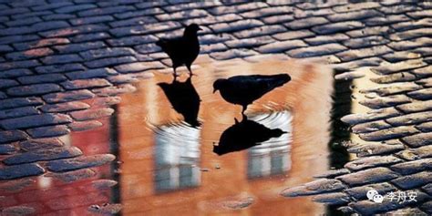 到底要不要去读个在职研究生? 知乎 到底要不要去读个在职研究生? 知乎