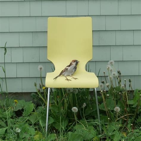 Thomas Deininger Works Ethan Cohen Gallery