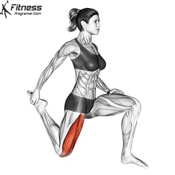 Stretchies Workout Routine Created By Mary Walden