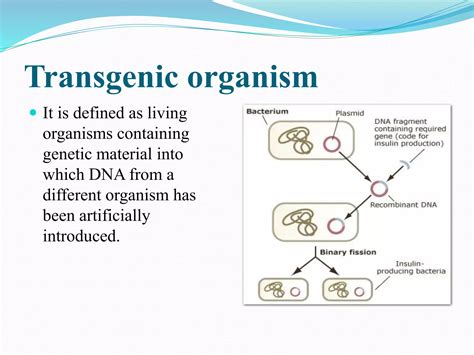 Transgenesis Pptx