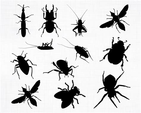 Bug SVG Bundle Bugs SVG Insect Svg Pest Svg Exterminator Etsy