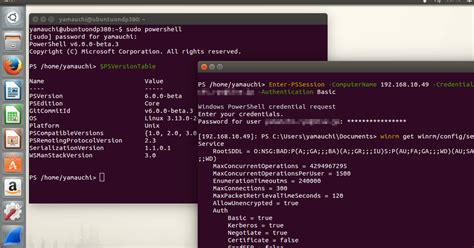 山市良のえぬなんとかわーるど（アーカイブ） メモ：powershell v6 beta 3 が出た で linux から windows