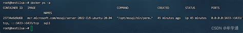 Docker下安装mssql备忘录docker Mssql Csdn博客