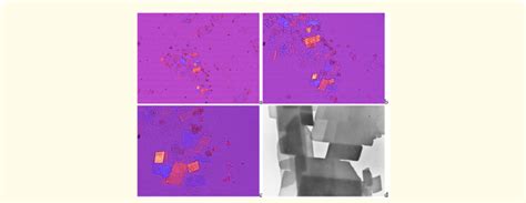 Polarized Cholesterol Crystals