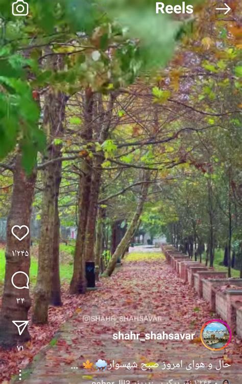 شهسوار زیبا و جذاب یا همون پاریس کوچک طرفداری