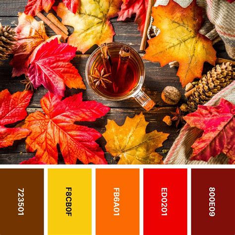 Pin On Colores Colors