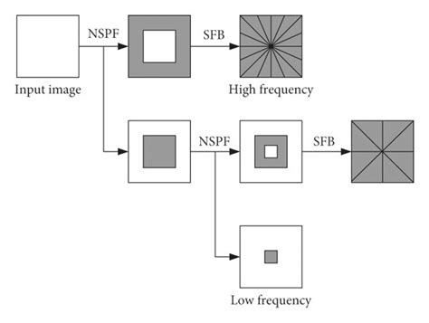 schematic diagram of nsst decomposition download scientific diagram