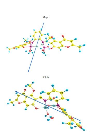 The Optimized Geometry Numbering System And Vector Of The Dipole