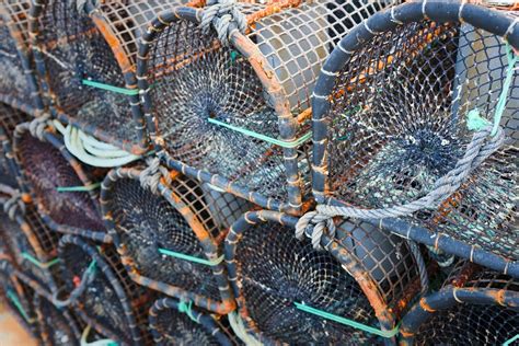 Crab Traps How To Choose Set And Use Them Effectively