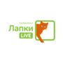 Спутниковое телевидение НТВ-ПЛЮС: купить цифровое HD ТВ, цены