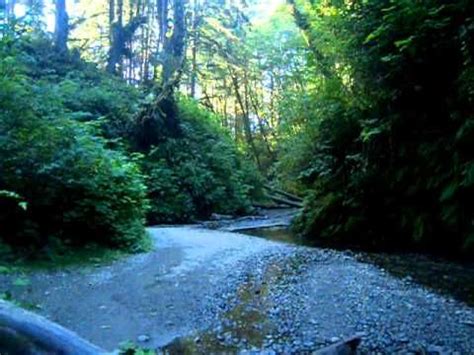 Fern Canyon Near The Ca Redwoods Scene From Jurassic Park 2 Filmed