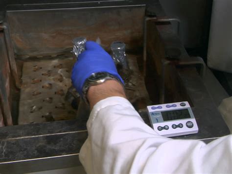 视频 Synchronization Of Caulobacter Crescentus For Investigation Of The Bacterial Cell Cycle