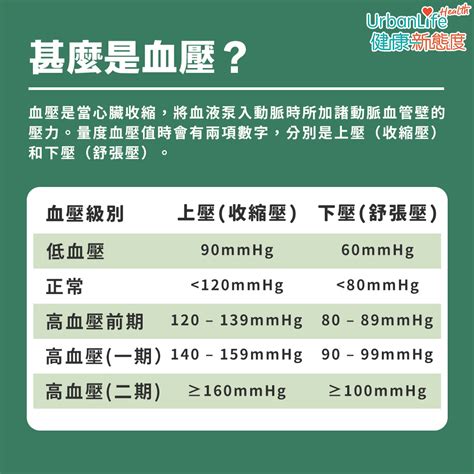 【低血壓成因】易疲勞、頭暈頭痛？了解低血壓4大症狀＋6大成因