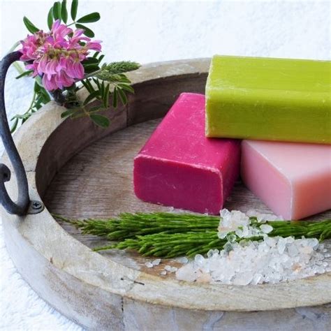 Soap Making For Beginners 7 Easy Soap Recipes Saving And Simplicity