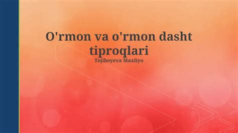 Ormon Va Ormon Dasht Tiproqlari