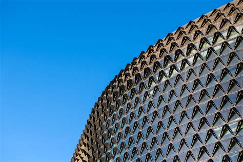 Neurology Service Advice Guidance Consultmed