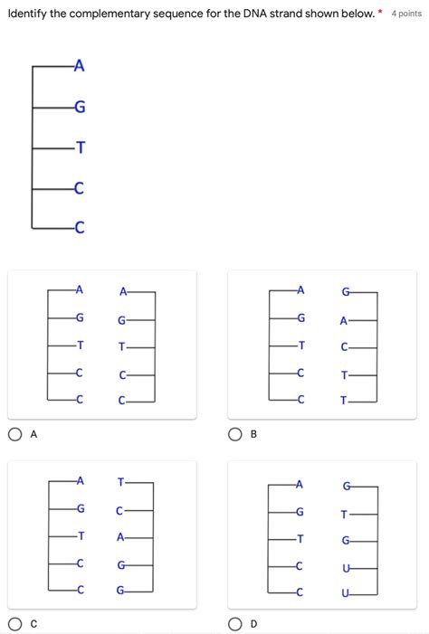 Solved Identify The Complementary Sequence For The DNA Chegg