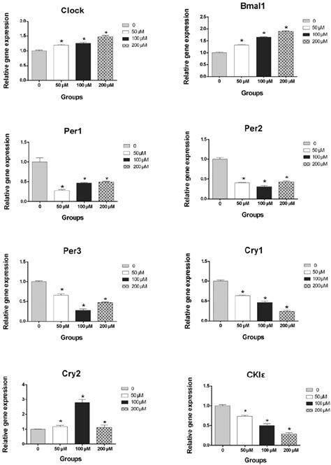Reverse Transcription Quantitative Polymerase Chain Reaction Detection Download Scientific