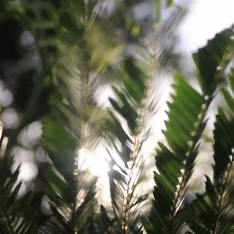 [video] Tim Bailey Posted On Linkedin