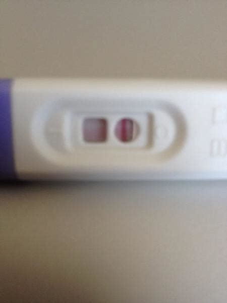 Horizontal Line Pregnancy Test Typetrust