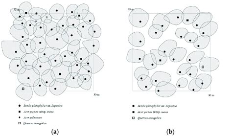 The Crown Projection Of Research Stands A Crown Density 90 B