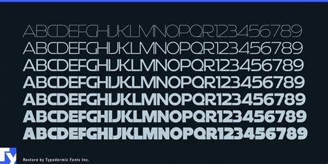 Restore Font Webfont Desktop MyFonts