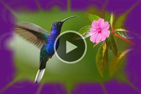 Working With Masks Corel Discovery Center