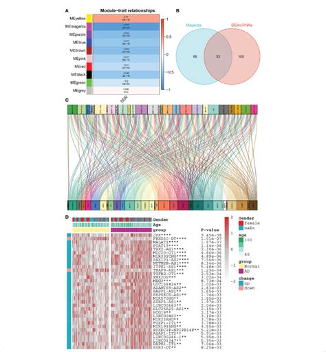 Identification Of Ddr Associated Lncrnas A Heatmap Representing The Download Scientific