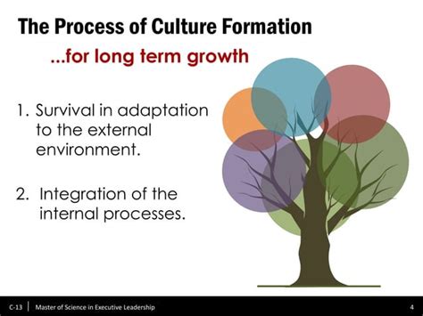Organizational Culture And External Adaptation Issues Pptx