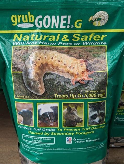 A Heads Up On Garden Pests From Our Garden Advisors Tagawa Gardens
