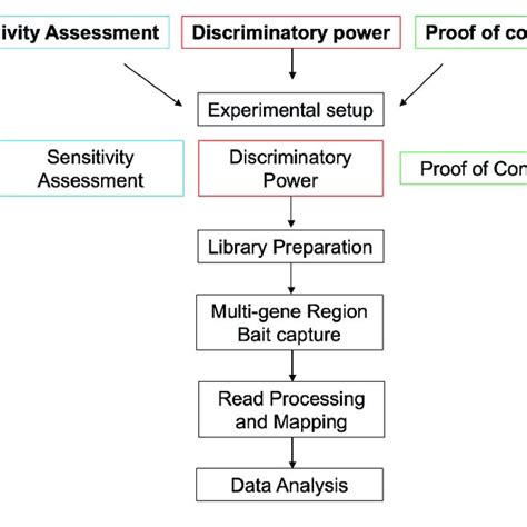 Flow Diagram Outlining The Different Tests For This Study Download Scientific Diagram