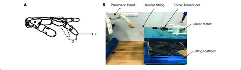 Stiffness Test Experiment A Schematic Diagram Of Stiffness Test Download Scientific