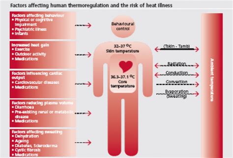 Temperature Facts And Graphs Jonathan S Classroom