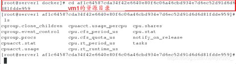 docker安全机制详解 容器资源限制 docker 禁止进入容器 csdn博客