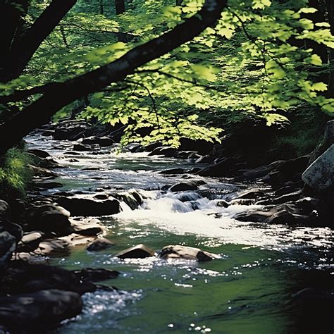 푸른 숲 사이로 흐르는 푸른 시내 거품 계곡 계절 배경 일러스트 및 사진 무료 다운로드 Pngtree
