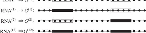 Figure 1 From Rna Structure Generates Natural Cooperativity Between