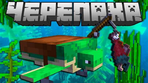 Черепаха Все что нужно знать Майнкрафт Открытия Мобы Youtube