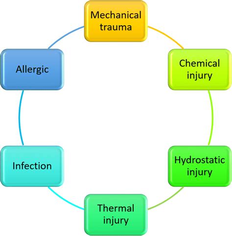 Possible Proposed Mechanisms Of Post ERCP Pancreatitis Download Scientific Diagram