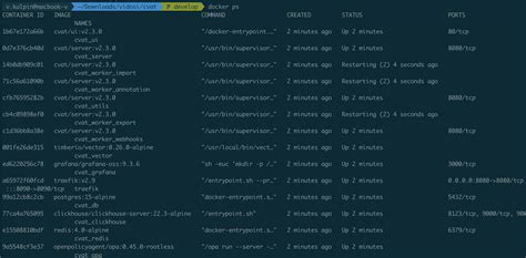 Continiously Restarting Cvatworkerexport Cvatworkerimport And Cvat