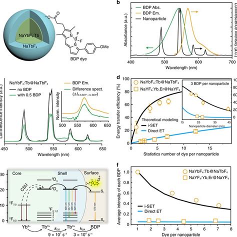 Schematic Of Single Upconversion Nanoparticle Based Molecular Sensing Download Scientific