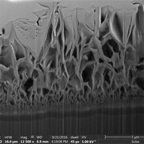 A Sem Micrograph Showing The Cross Sectional Cut Made By Fib Of The