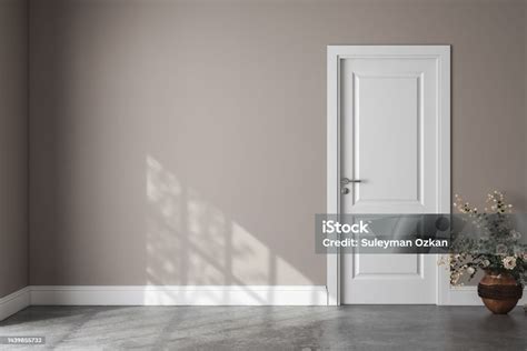 흰색 문 콘크리트 바닥 베이스보드 창문 햇빛 아침 햇살 모의 사무실 베이지색 장미 식물이 있는 빈 방 인테리어 3d 렌더링 액자에 대한 스톡 사진 및 기타 이미지 Istock