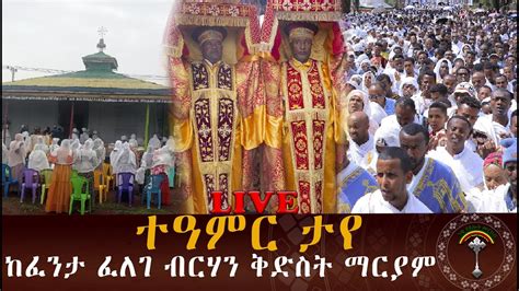 🛑live ታላቅ የንግስ በዓል ከፈንታ ፈለገ ብርሃን ቅድስት ማርያም ቤተክርስቲያን Youtube