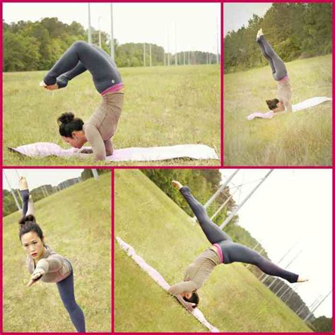 Collibrina S Yoga 2017
