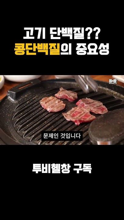 고기단백질 콩 단백질의 중요성을 알려줄게 Youtube