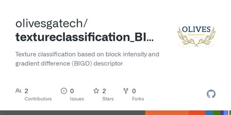 github olivesgatech textureclassification bigd spic2020 texture