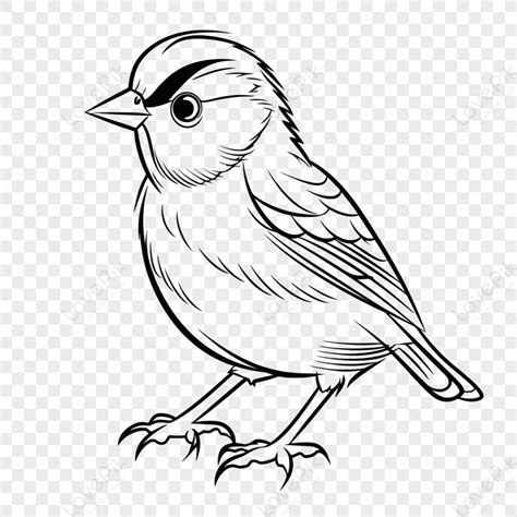 반짝이는 눈 윤곽선 스케치 드로잉 스타일로 벡터미술라인 아트 Png 일러스트 무료 다운로드 Lovepik