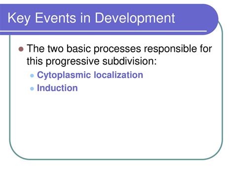 Principles Of Development Ppt Download