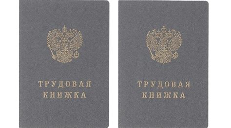 Трудовая книжка - 2 штуки - купить с доставкой по выгодным ценам в ...