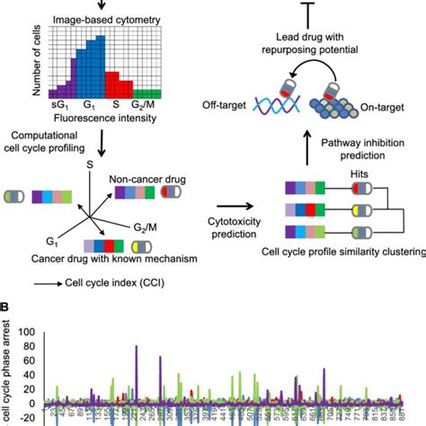 computational cell cycle profiling and 3d chemical clustering for